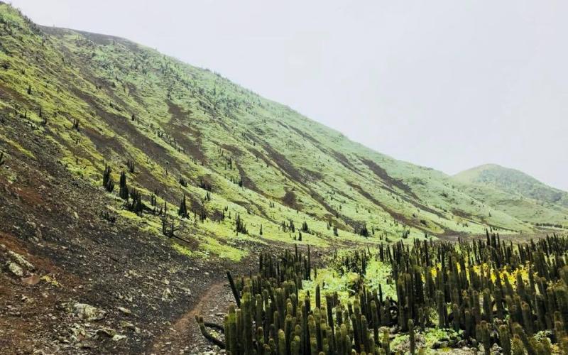 Evaluación de ecosistemas para su inclusión en el "Listado de Ecosistemas Frágiles de la Región ...